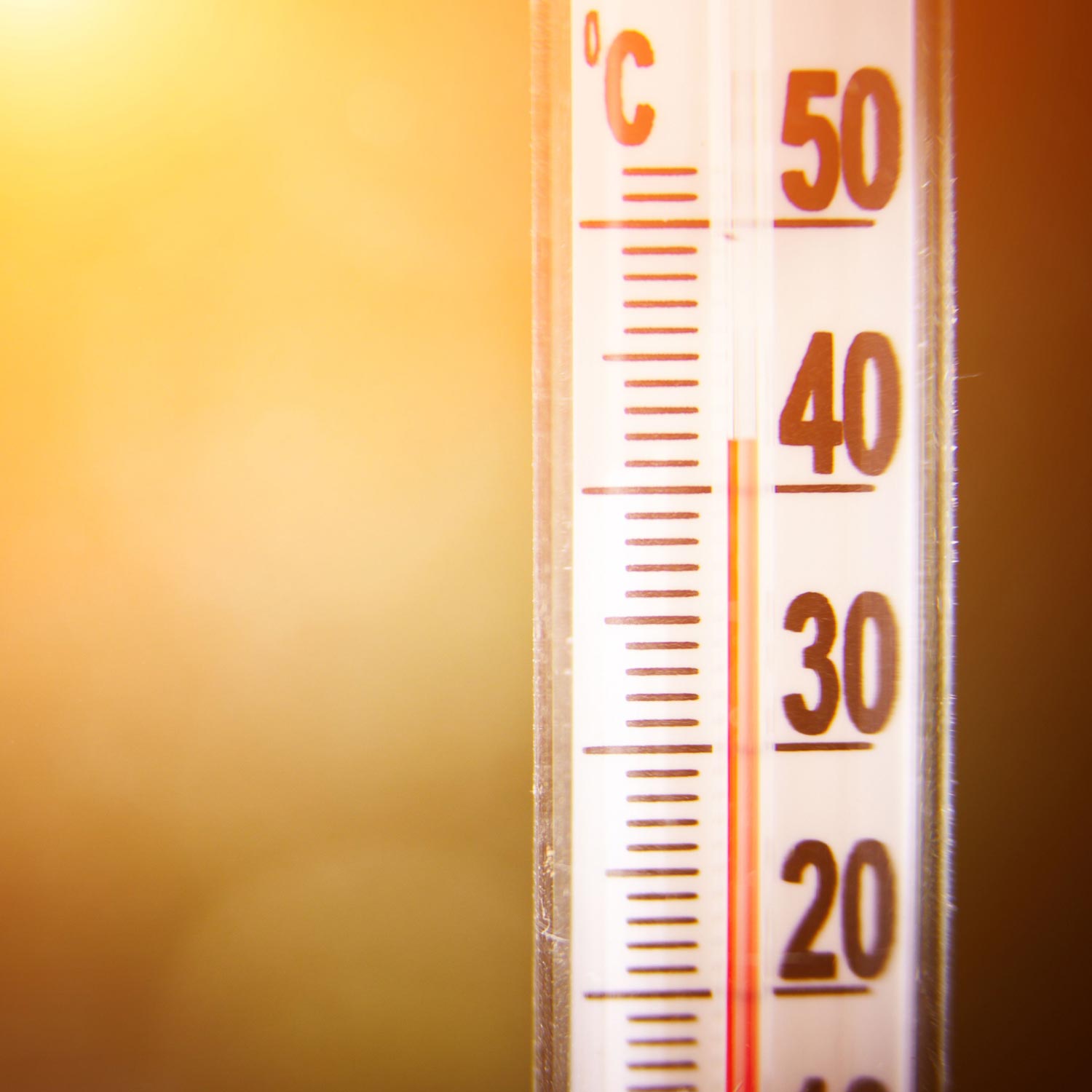 CPIH - Fortes chaleurs : agissons ensemble pour protéger la santé au ...